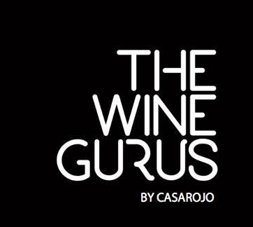 the wine source logo